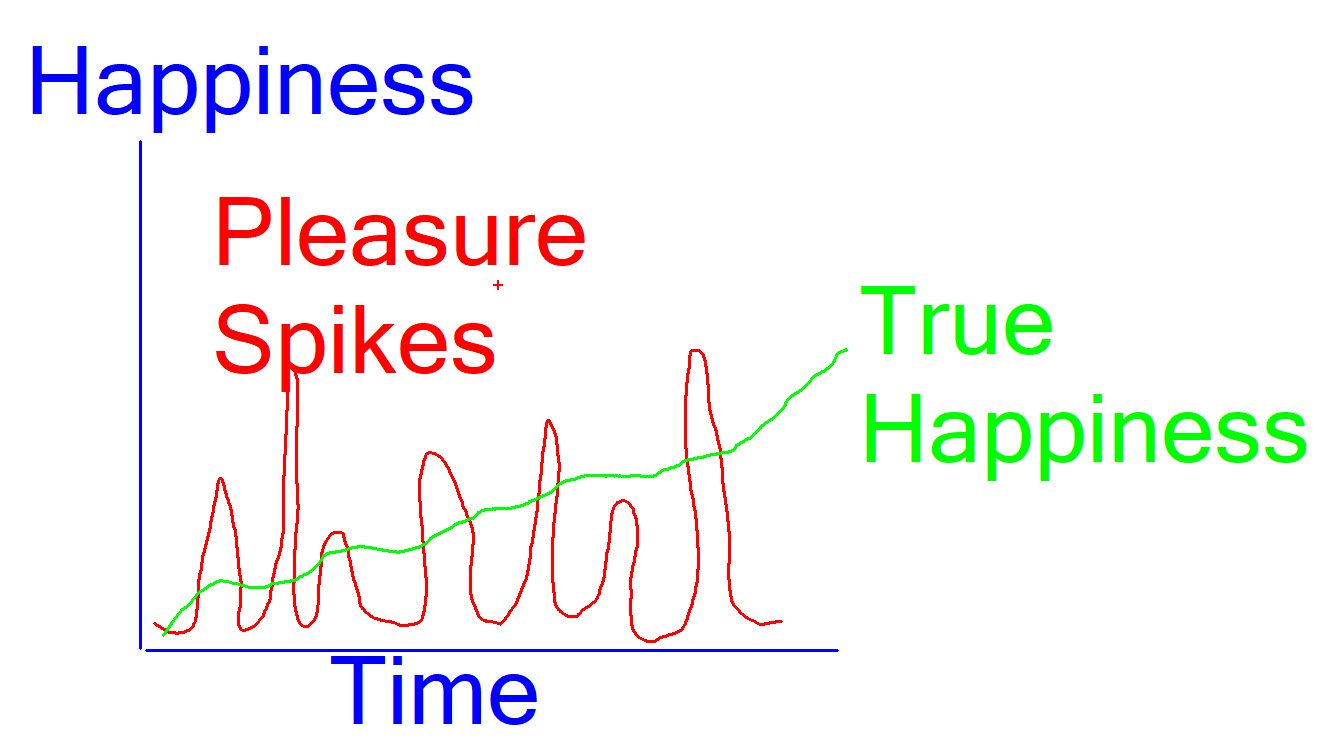 Sacrifice pleasure for happiness - Asif Rehmani